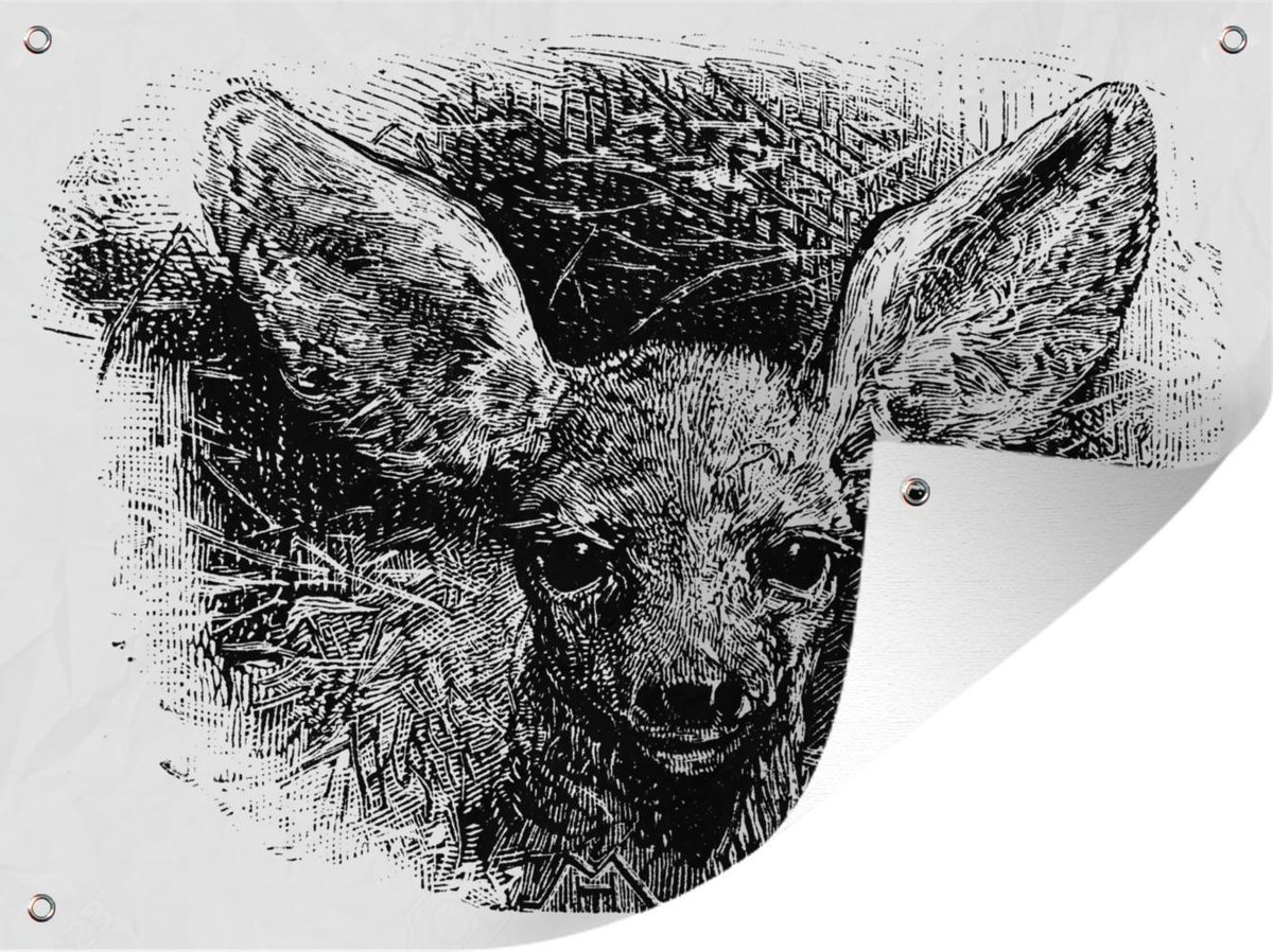 Tuin decoratie Een gedetailleerde tekening van de kop van een jong hert ...