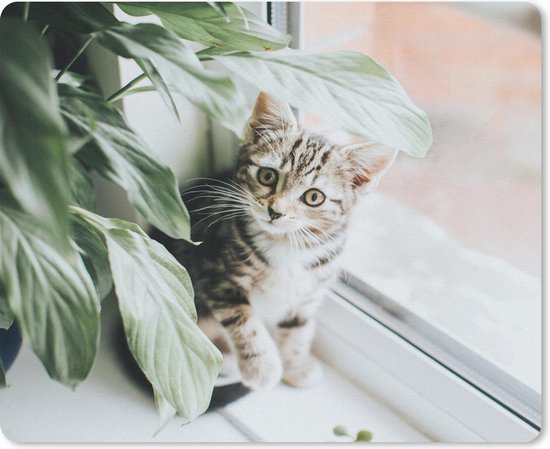 Muismat Katten - Jonge kat op vensterbank muismat rubber - 23x19 cm ...