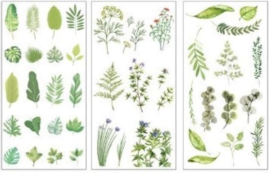 Botanical Stickers - 6 vellen - Sticker Blaadjes / Stickers Leafs | bol.com