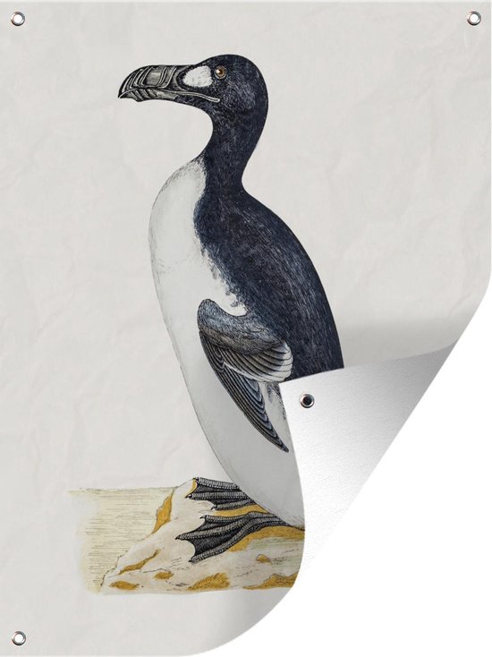 Tuin decoratie vintage tekening van de Reuzenalk - 30x40 cm - Tuindoek ...