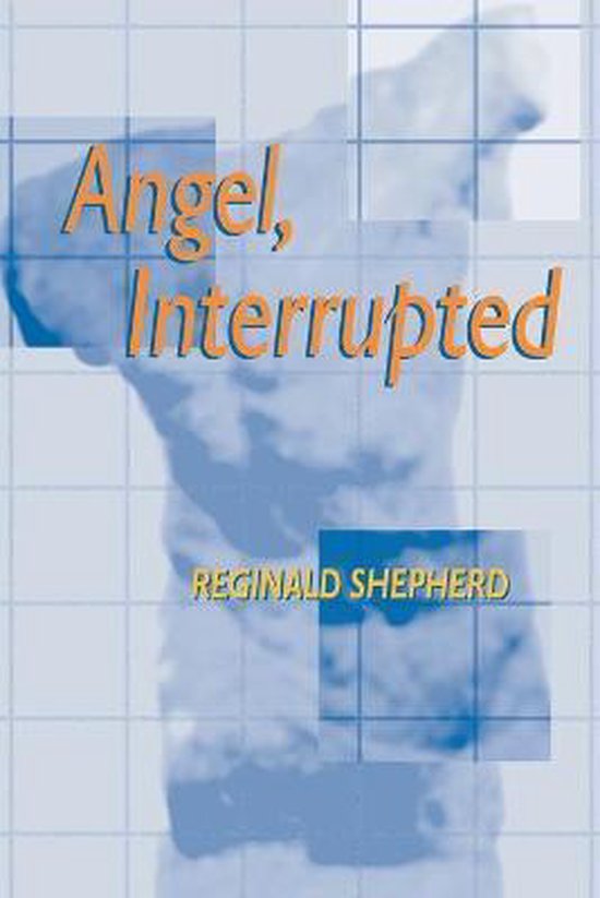 Angel Interrupted, Reginald Shepherd | 9780822956143 | Boeken | bol.com