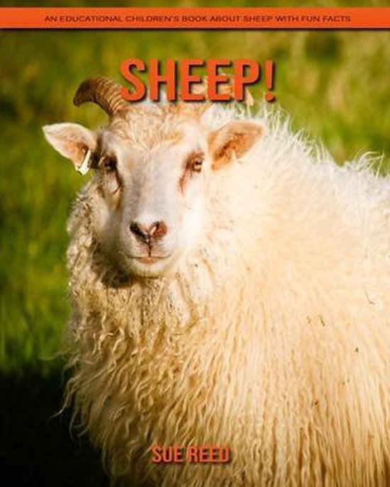 Sheep! An Educational Children's Book about Sheep with Fun Facts, Sue ...