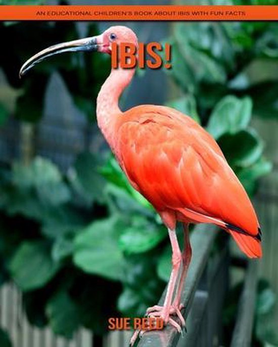 Ibis! An Educational Children's Book about Ibis with Fun Facts, Sue ...