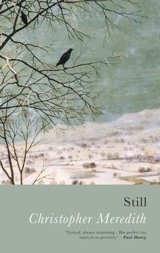 Still, Christopher Meredith | 9781781726143 | Boeken | bol