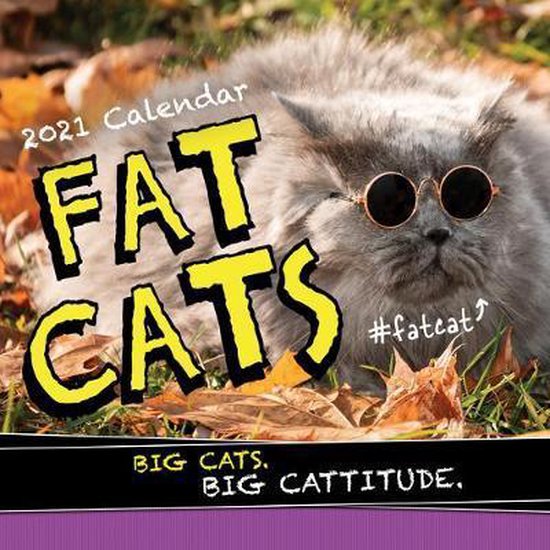 Fat Cats 2021 Calendar | bol