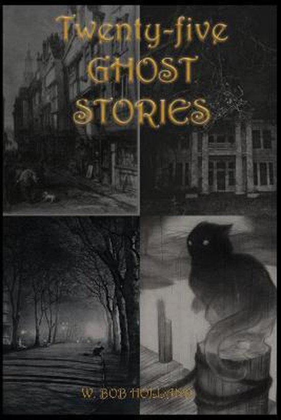 Twenty-five ghost stories, W Bob Holland | 9798648996069 | Boeken | bol.com