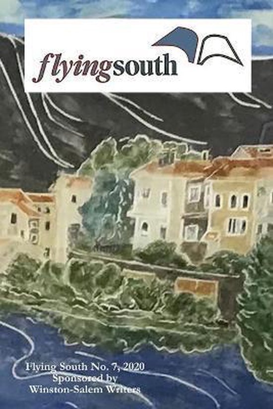 Flying South 2020, Misc Writers | 9780578726014 | Boeken | bol
