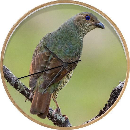 Klok Prieelvogel Ø 30 cm - Satijnen prieelvogel op een tak tegen een ...