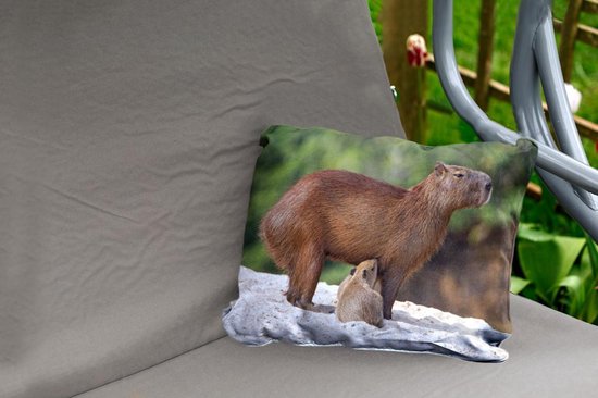 Sierkussen Capibara voor buiten - Twee capibara's voeden zich van hun ...