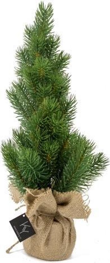 Boompje 40 cm | bol.com