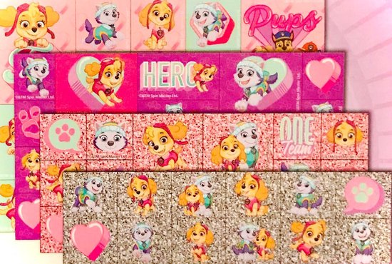 PAW Patrol Skye - PAW Patrol Stickers - PAW Patrol speelgoed - 65 ...