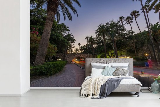 Behang - Fotobehang - Weg van de Palmen tijdens de schemering op Kos ...