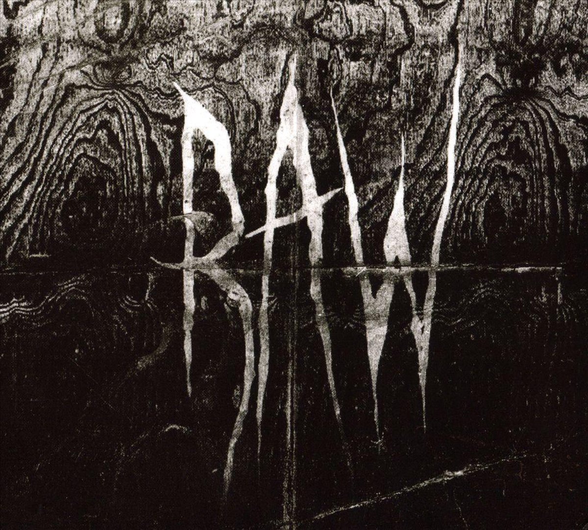 Raw - From The First Glass To The Grave (CD), Raw | CD (album) | Muziek ...