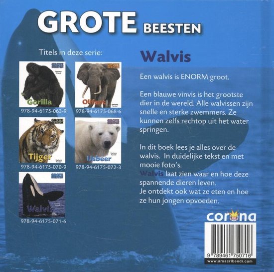 Grote Beesten - Walvis | 9789461750716 | Stephanie Turnbull | Boeken | bol