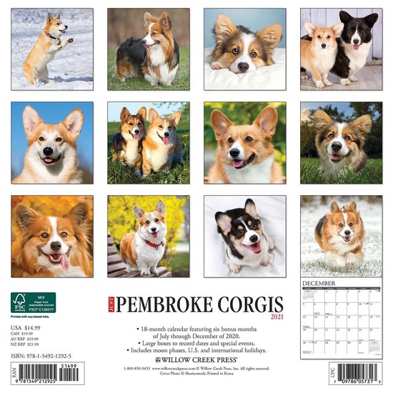 Welsh Corgi Pembroke Kalender 2021 | bol.com
