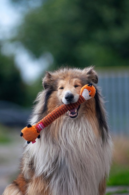 WAUDOG Fun Crunchy Hondenspeeltje Vos met Piepje 37 cm | bol