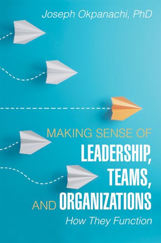 Making Sense of Leadership, Teams, and Organizations (ebook), Joseph ...