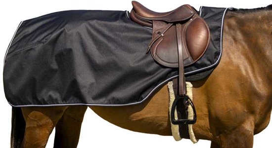 Equitheme Polar Fleece 600d Zweetdeken Paard Zwart 125 cm | bol