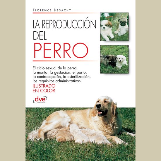 La reproducción del Perro, Florence Desachy | 9798894058184 | Boeken | bol