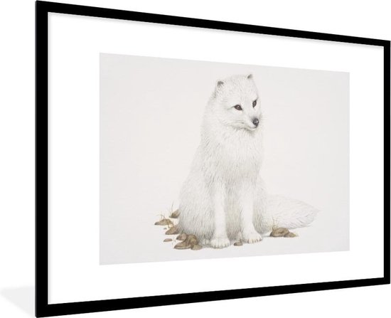 Fotolijst incl. Poster - tekening van een poolvos - 120x80 cm ...