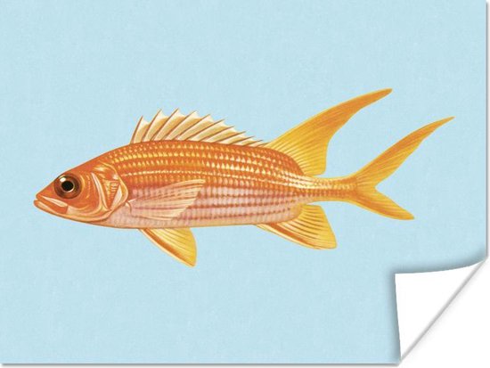 Une illustration d'un poisson rouge sur fond bleu Poster 160x120 cm ...