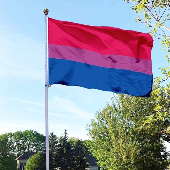 Drapeau bisexuel - Grand drapeau bisexuel - Drapeau bisexuel LGBT Gay ...