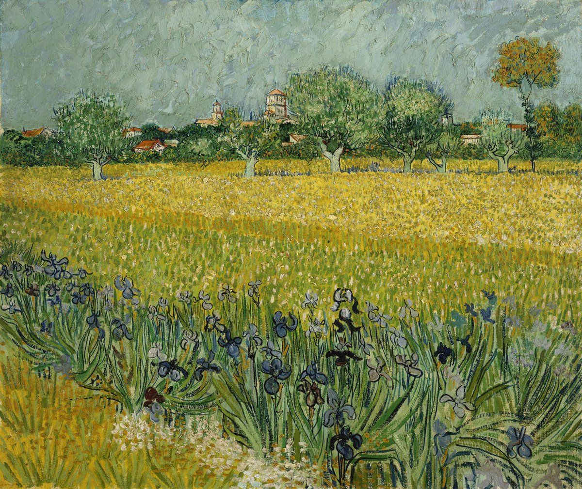 Vincent van Gogh, Veld Met Irissen Bij Arles, 1888 op canvas, afmetingen van het... | bol.com