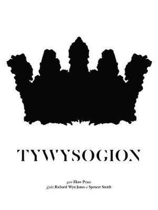 Tywysogion | 9780852843260 | Huw Pryce | Boeken | bol