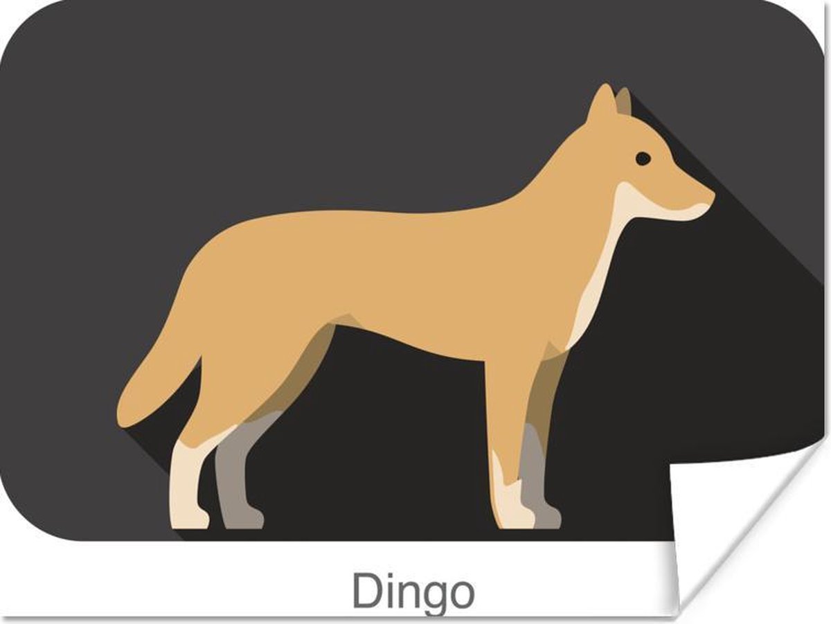 Illustration d'un dingo devant un poster fond gris 160x120 cm - Tirage ...
