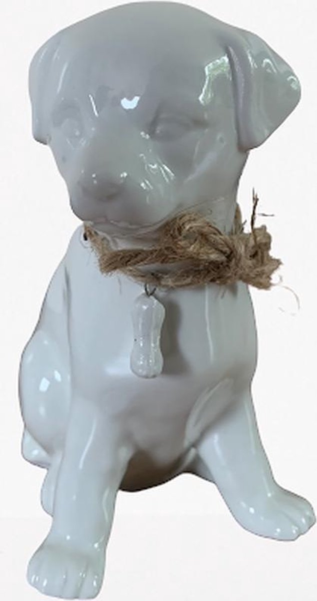 Porseleinen honden beeldjes set van 2 | bol.com