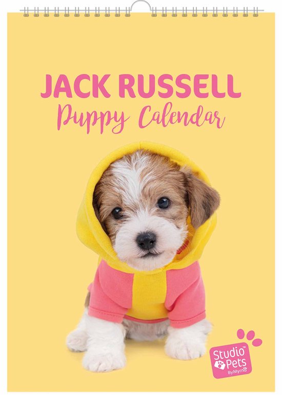 Studio Pets® A4 Jack Russell Honden Verjaardag Kalender Maandplanner! | bol