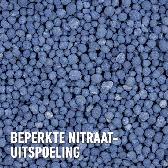 COMPO Blauwe Korrels - universele meststof voor de moestuin en de ...