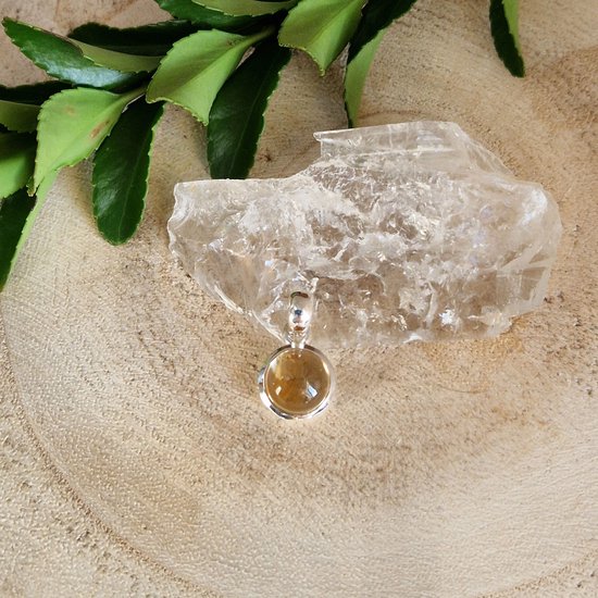 SilverGems Zilveren hanger met Citrien edelsteen | bol