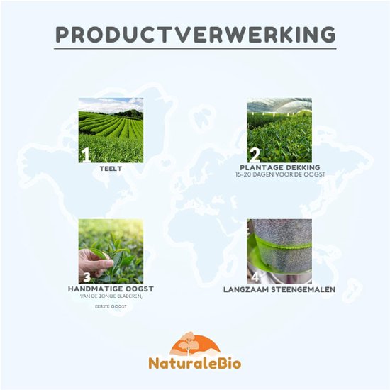 Biologische Matcha Thee Poeder – Ceremoniële Kwaliteit – 50g Premium Groene Thee uit... | bol