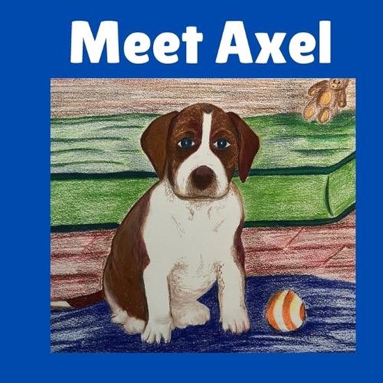 Meet Axel, Emily Suzanne Harris | 9798345440674 | Boeken | bol