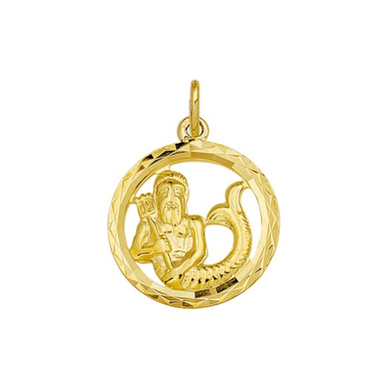 Hanger Sterrenbeeld Gediamanteerd 14K Geelgoud | bol