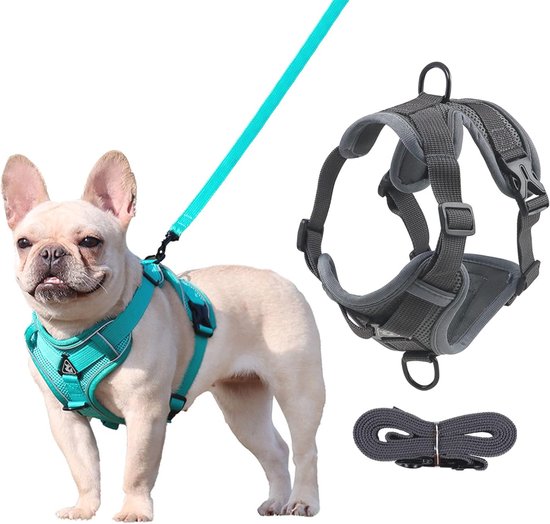 Anti-Trek Hondenharnas en Riem Set - Verstelbaar, Reflecterend, Ontsnapbestendig voor... | bol