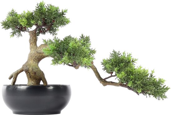 Kunst Bonsai | Sokan | 28cm - In bonsai pot - Kunst bonsai boompje ...