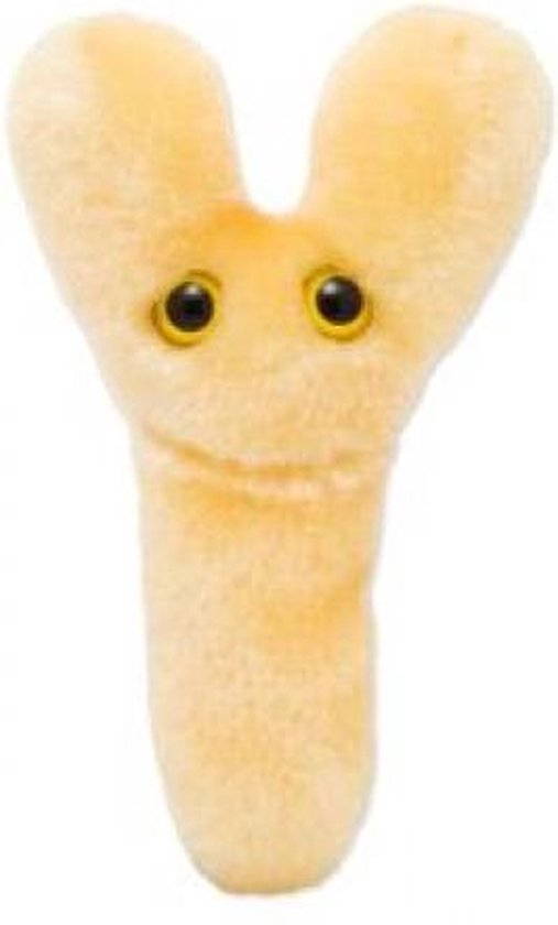Giant Microbes Bifidobacterium longum - Pluche knuffel van de Bifido ...