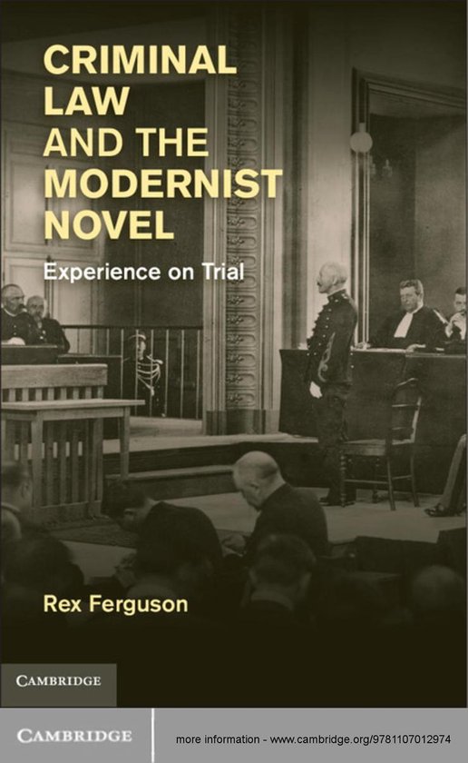 Criminal Law and the Modernist Novel (ebook), Rex Ferguson ...