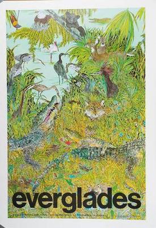 Everglades, Jean Craighead George | 9780912627298 | Boeken | bol.com