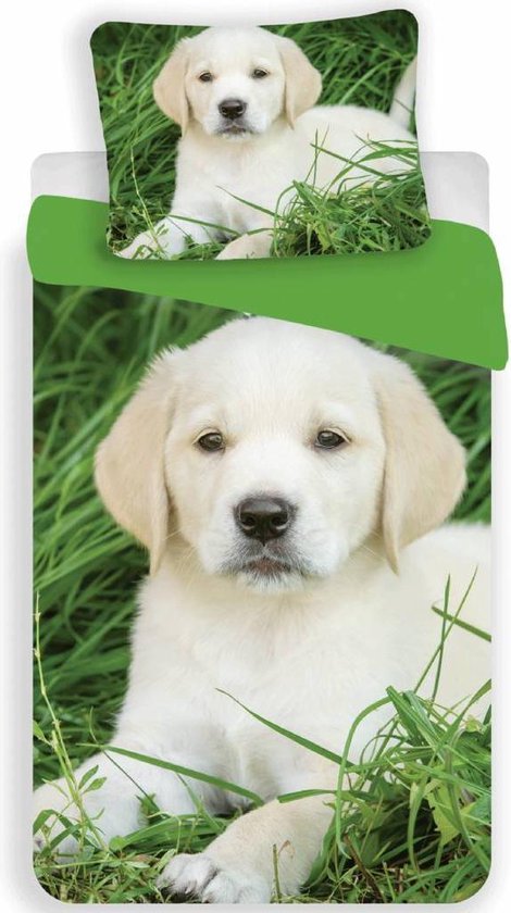 Animal Pictures Labrador Puppy - Dekbedovertrek - Eenpersoons - 140 x ...