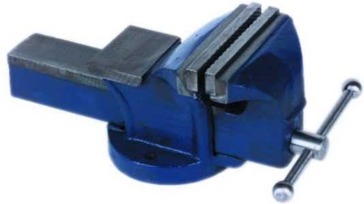 Bankschroef met Aambeeld - 125 mm | bol.com