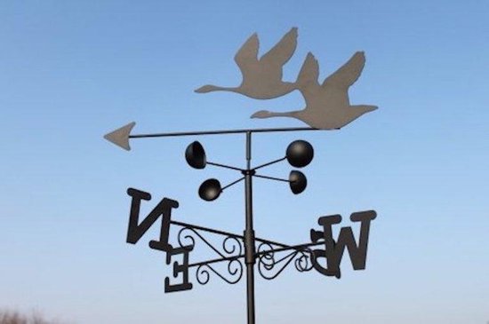 Windvaan - Tuin - Staal - Gans | bol