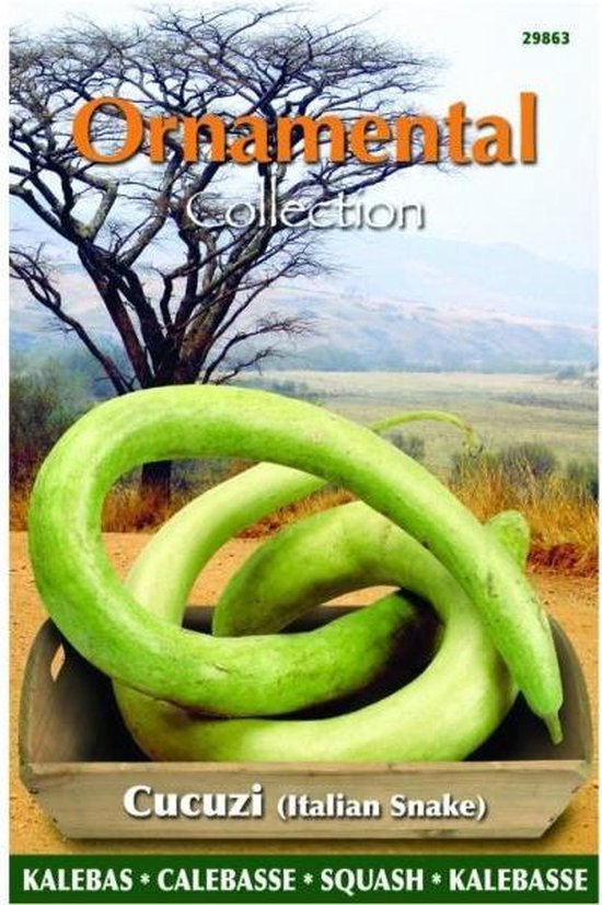 Buzzy Gourd Italian Edible/Cucuzi | bol.com