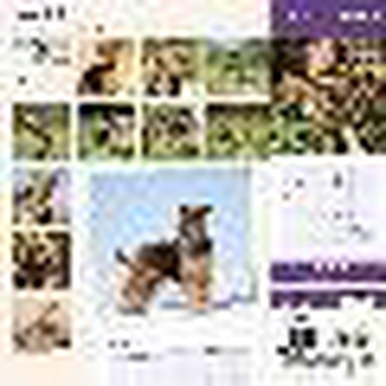 Airedale Traditional, Magnet&Steel | 5060344928427 | Boeken | bol.com