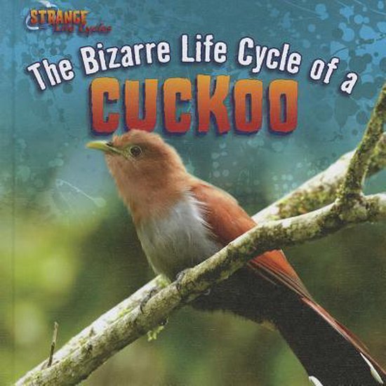 The Bizarre Life Cycle of a Cuckoo, Barbara M Linde | 9781433970436 ...