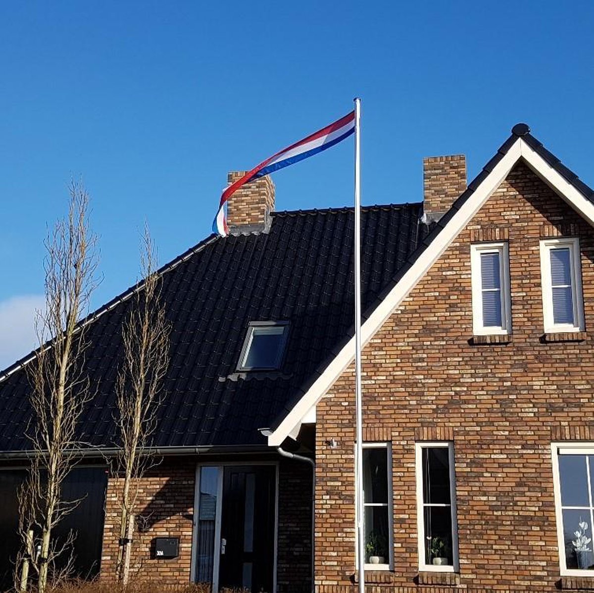 Vlaggenmast 6 meter met vlag en wimpels | bol
