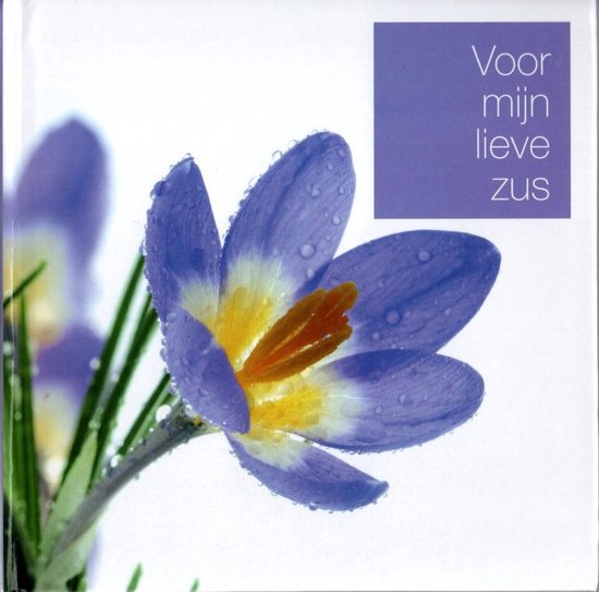 Voor mijn lieve zus, uitgave 2017 | 9789463330770 | Boeken | bol.com