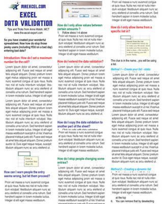 Excel Data Validation, Anne Walsh | 9781615479771 | Boeken | bol.com